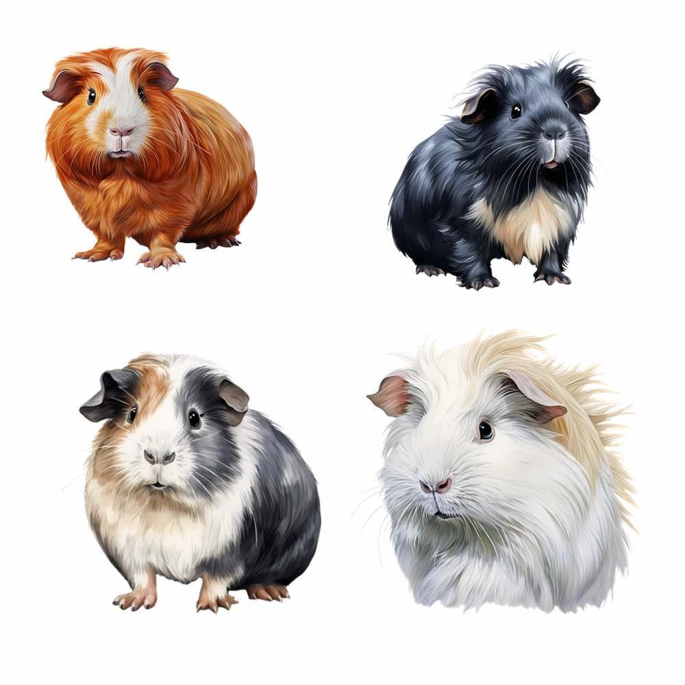 Guinea Pig Clipart Watercolor Digital Downloads Pet Rodent Animal High ...