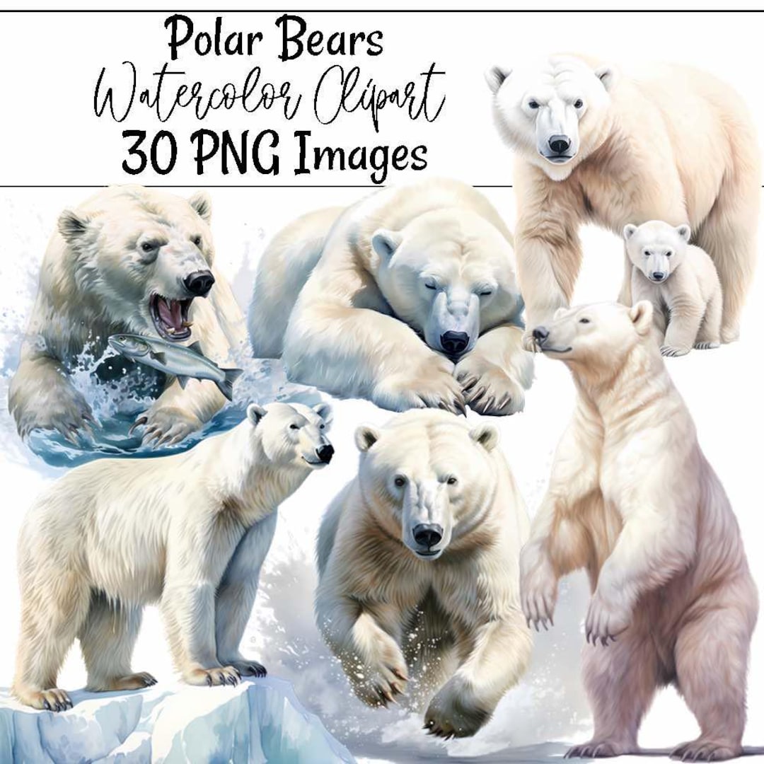 Polar Bear Watercolor Clipart Digital Downloads Alaska Arctic Snow ...