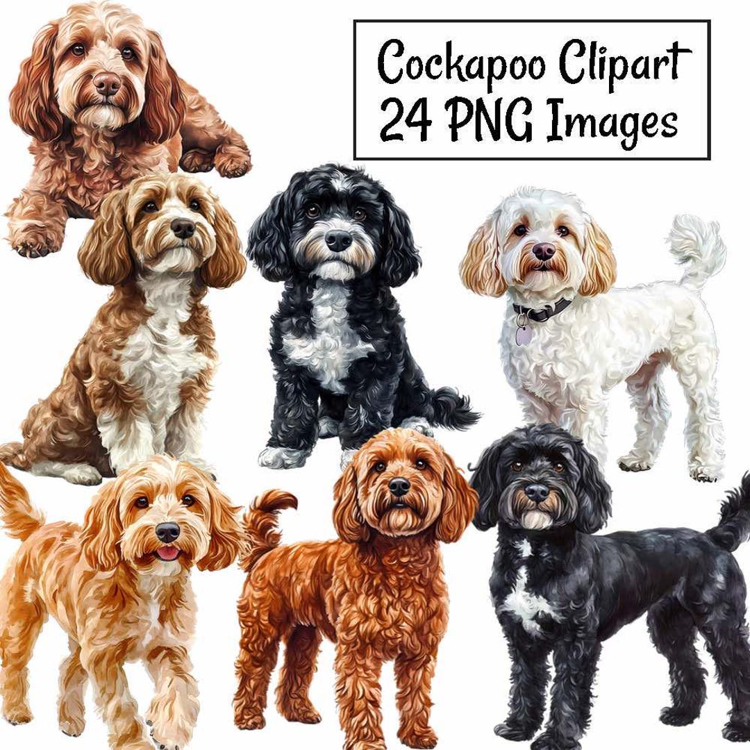 Cockapoo Clipart, 24 Printable Digital Downloads, Sublimation Dog ...