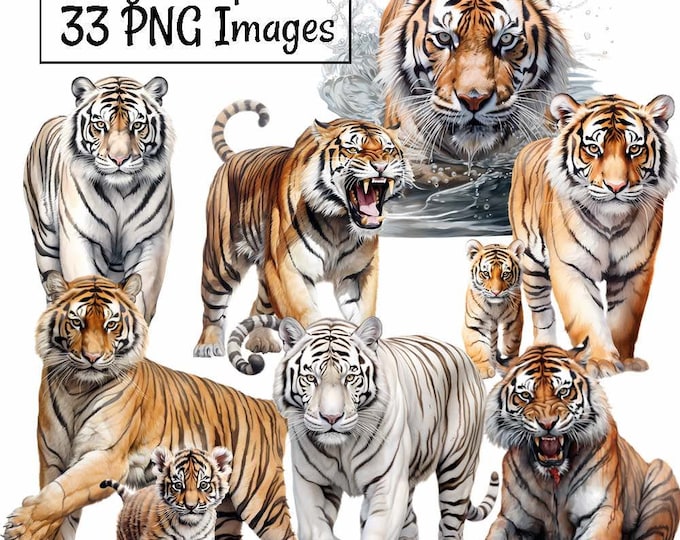 White Tiger GFX Design Bundle PNG Format No Background animal Overlay ...