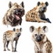 Hyena Watercolor Clipart Digital Downloads, 14 African Wildlife Spotted ...