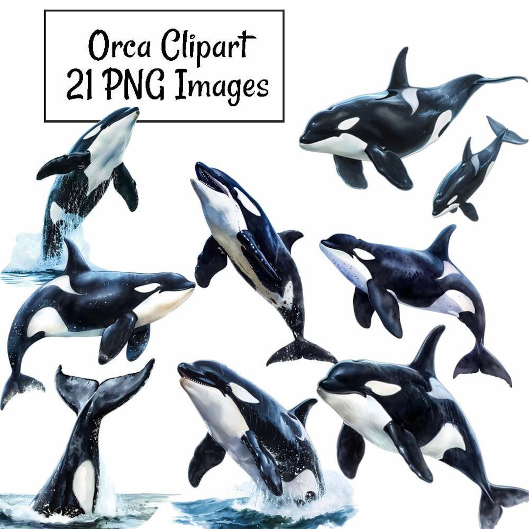 Orca Watercolor Clipart Digital Downloads, 21 Killer Whale Sea Life ...