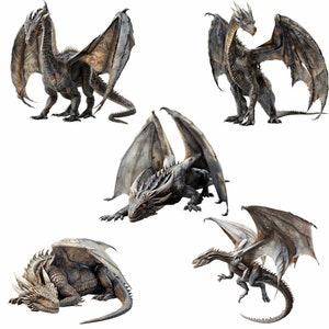 Dragon Overlay Realistic Digital Downloads Mythical Fantasy Wyvern ...