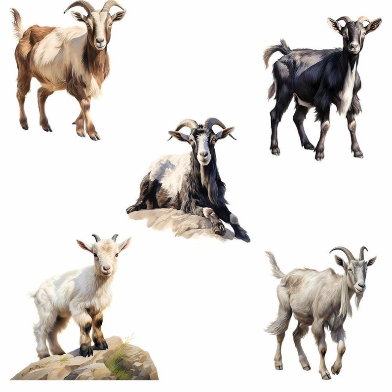 Goat Clipart Farm Baby Goat Animal Watercolor Bundle Digital - Etsy