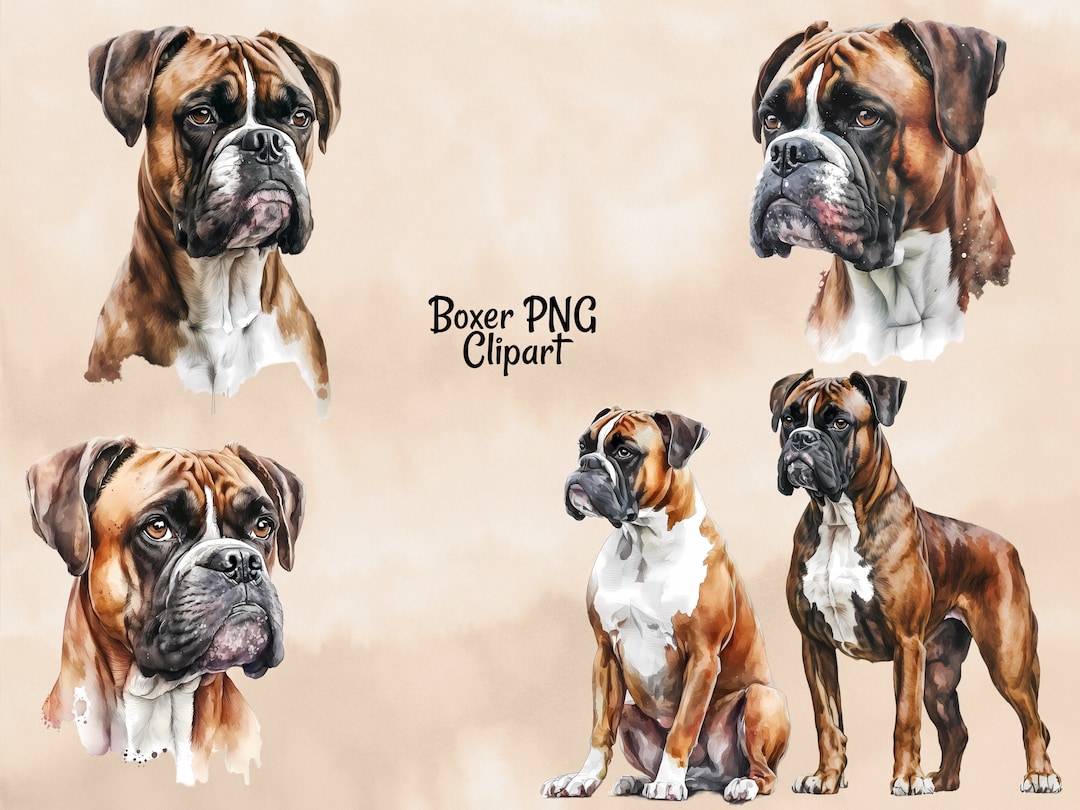 Boxer Printable Digital Downloads, 5 Sublimation Overlay Dog Breed ...
