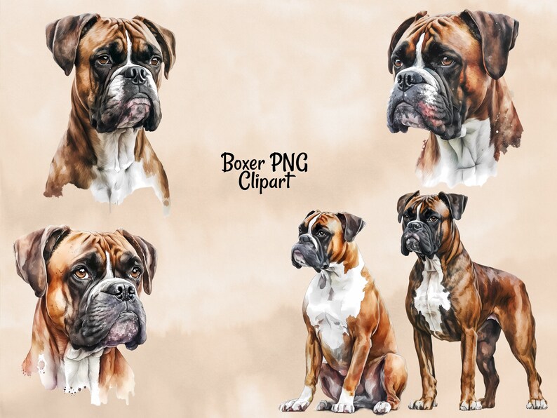 Boxer Printable Digital Downloads 5 Sublimation Overlay Dog - Etsy