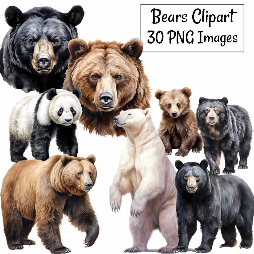 Bear Clipart Watercolor Digital Downloads, 30 Brown Bear, Grizzly ...