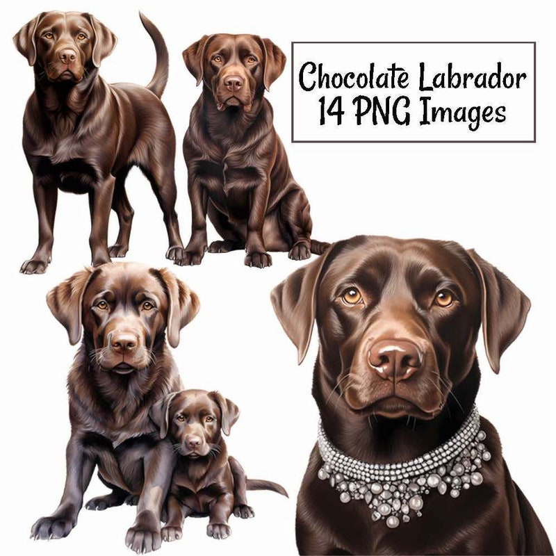 Lab Dog Svg - Etsy