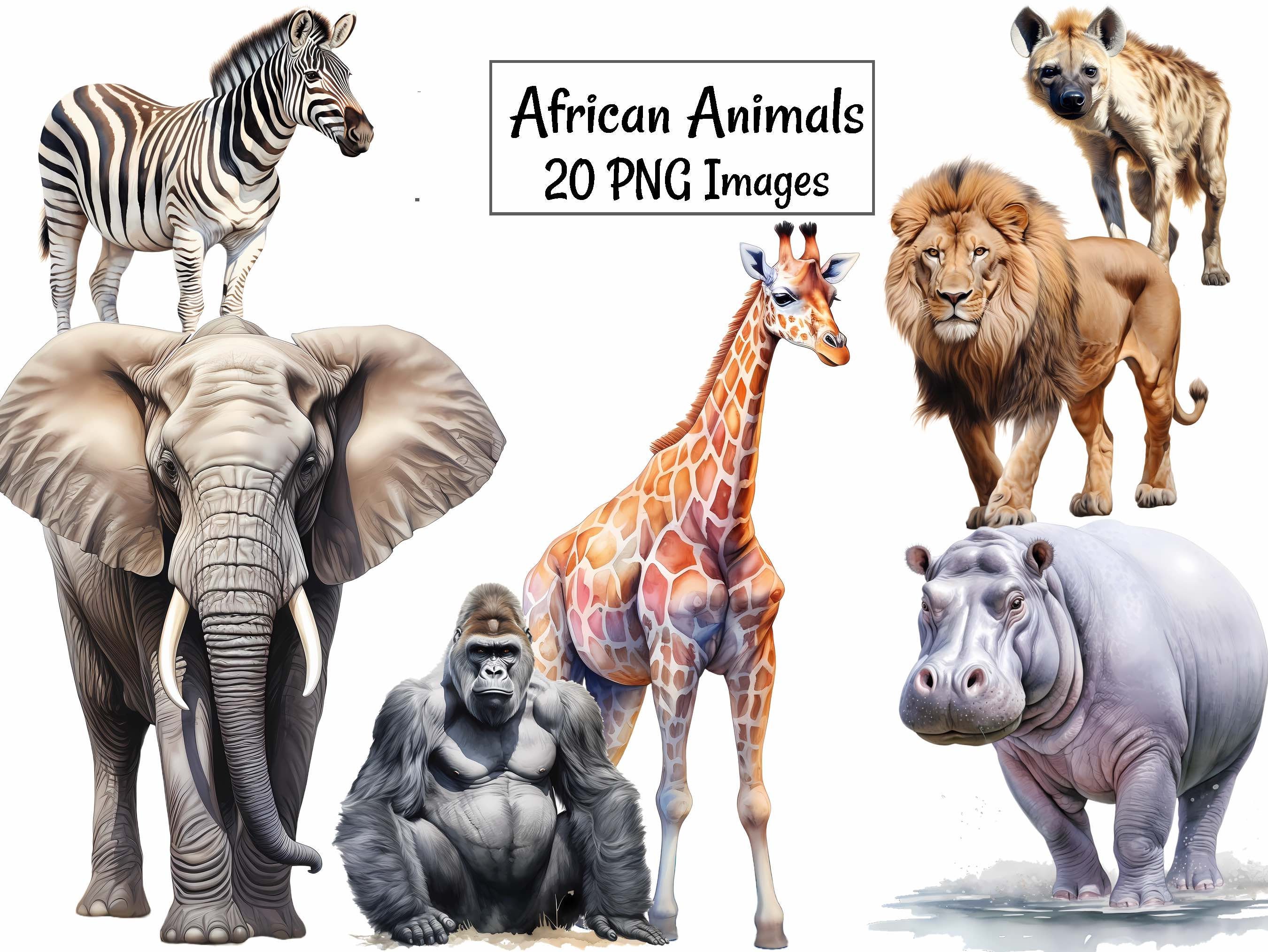 African Animals Clipart Digital Downloads 20 Watercolor - Etsy