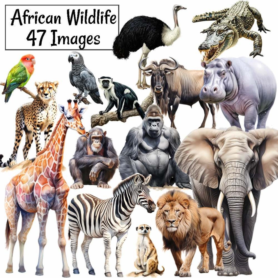 African Animals Clipart Digital Downloads Wildlife Watercolor Safari ...