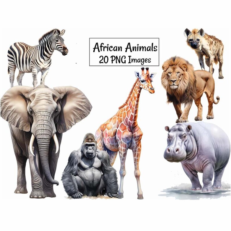 African Animals Clipart Digital Downloads, 20 Watercolor Safarijungle ...