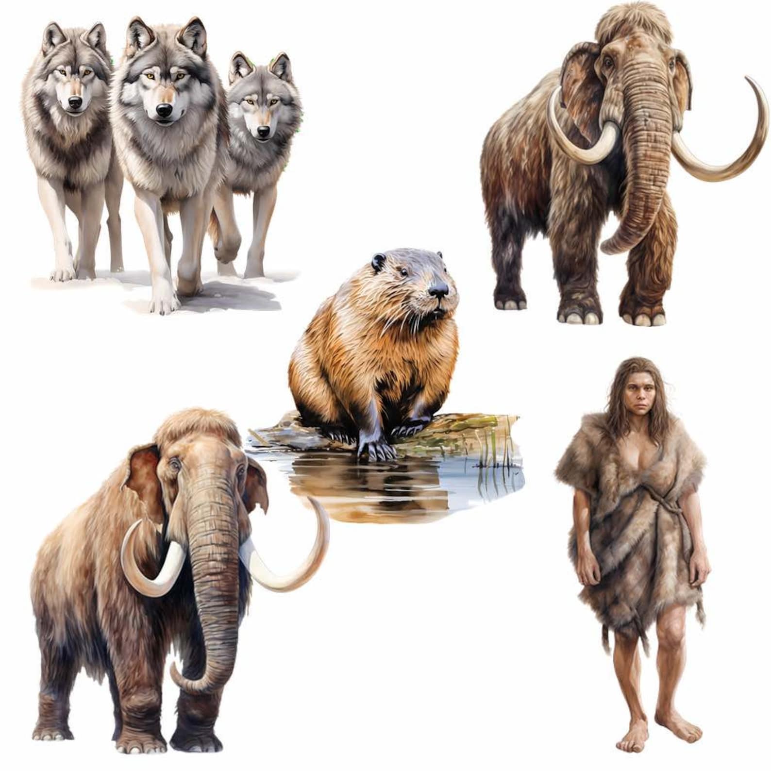 Ice Age Clipart Watercolor Digital Downloads Glacial Extinct Animal ...