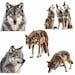 Wolf Overlay Wolves Realistic Digital Downloads, 28 Wolf Clipart , High ...