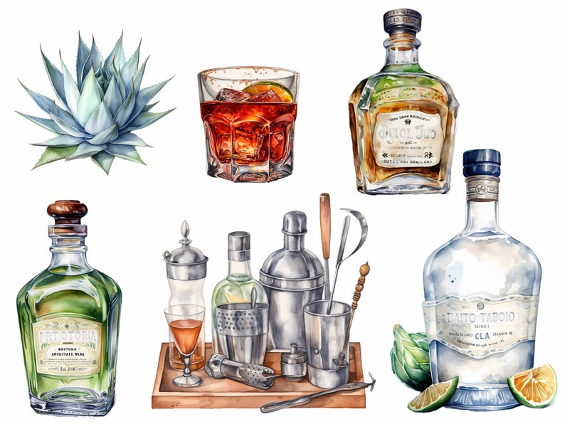 Tequila Drinks Alcohol Clipart Digital Downloads, 17 Liquor Watercolor ...