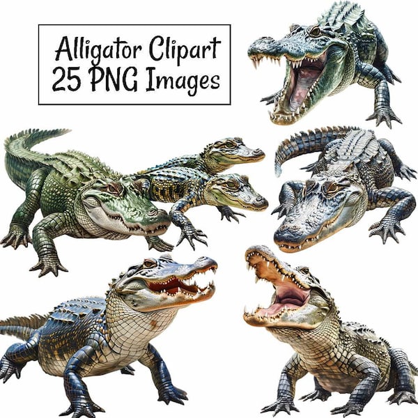 Alligator - Etsy