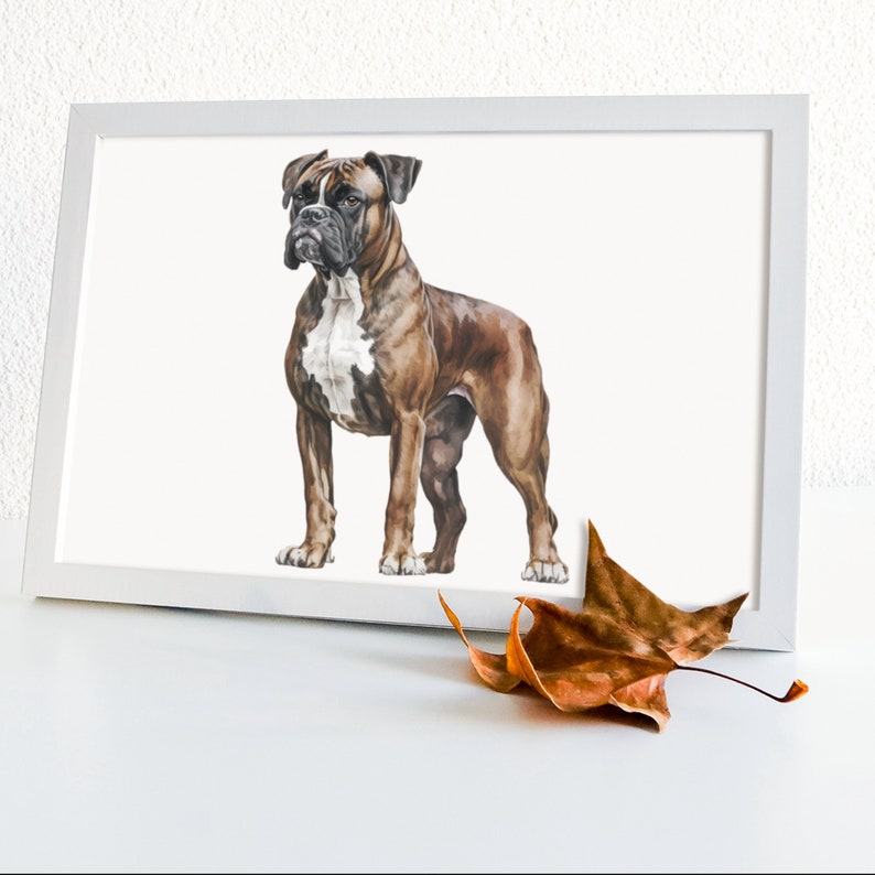 Boxer Printable Digital Downloads, 5 Sublimation Overlay Dog Breed ...