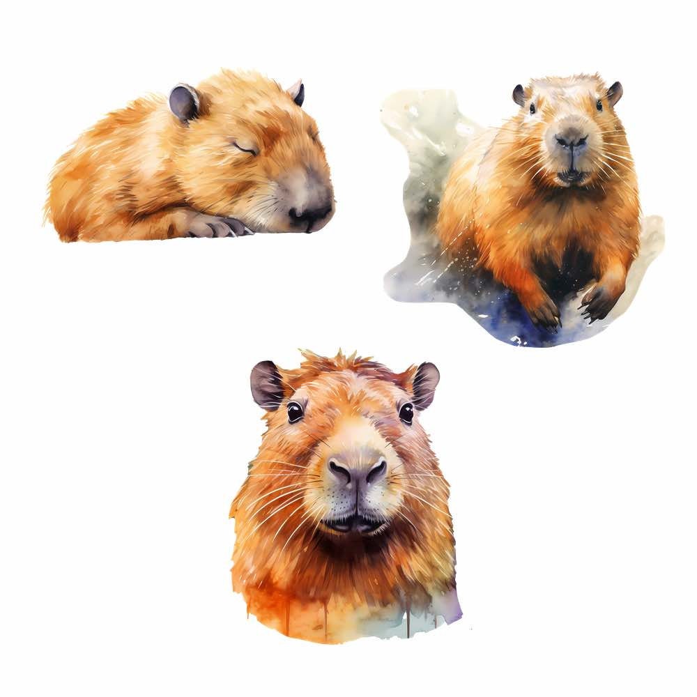 Capybara Watercolor Clipart Digital Downloads, 18 South America Jungle ...