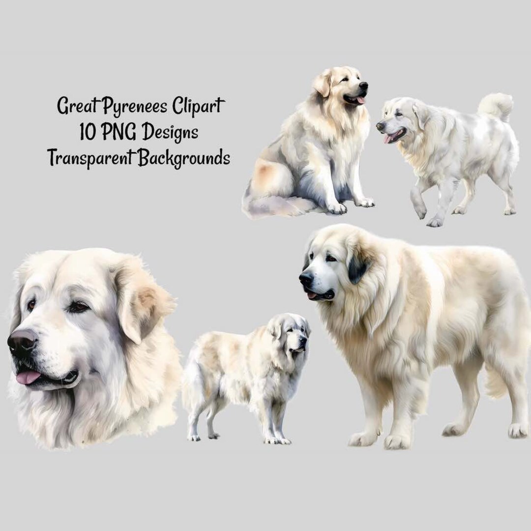Great Pyrenees Dog Watercolor Digital Downloads, 10 Overlay Sublimation ...