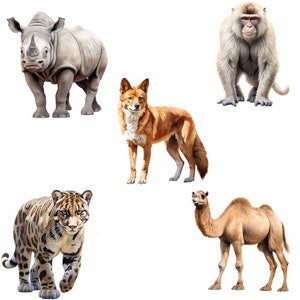 Asian Animals Wildlife Watercolor Clipart Digital Downloads, 32 Fauna ...
