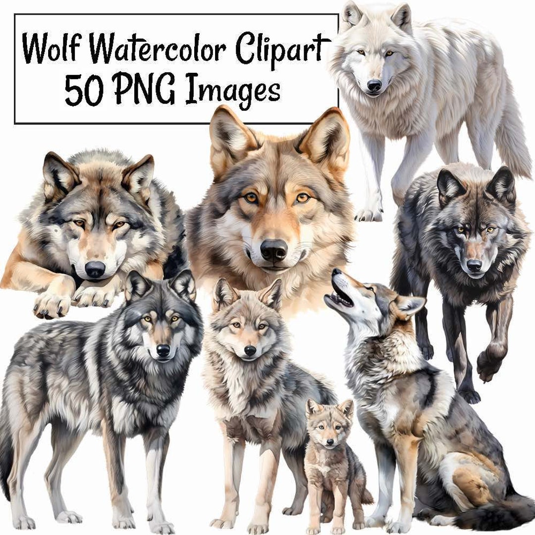 Wolf Watercolor Clipart Digital Downloads Overlay Art Wildlife Woodland ...