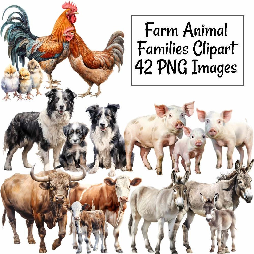 Farm Animal Families Clipart Digital Downloads,42 Mother Father Baby ...