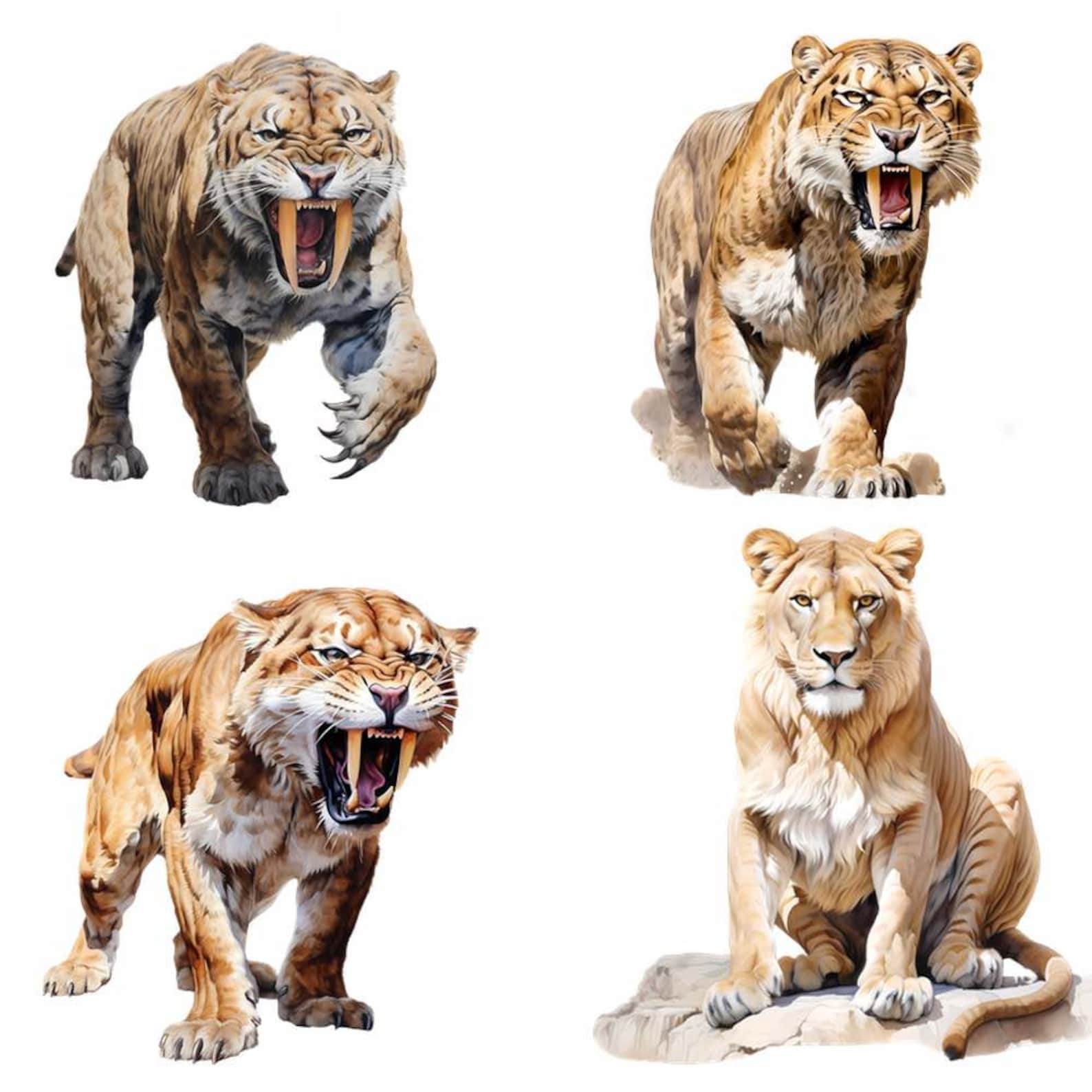 Ice Age Clipart Watercolor Digital Downloads Glacial Extinct Animal ...