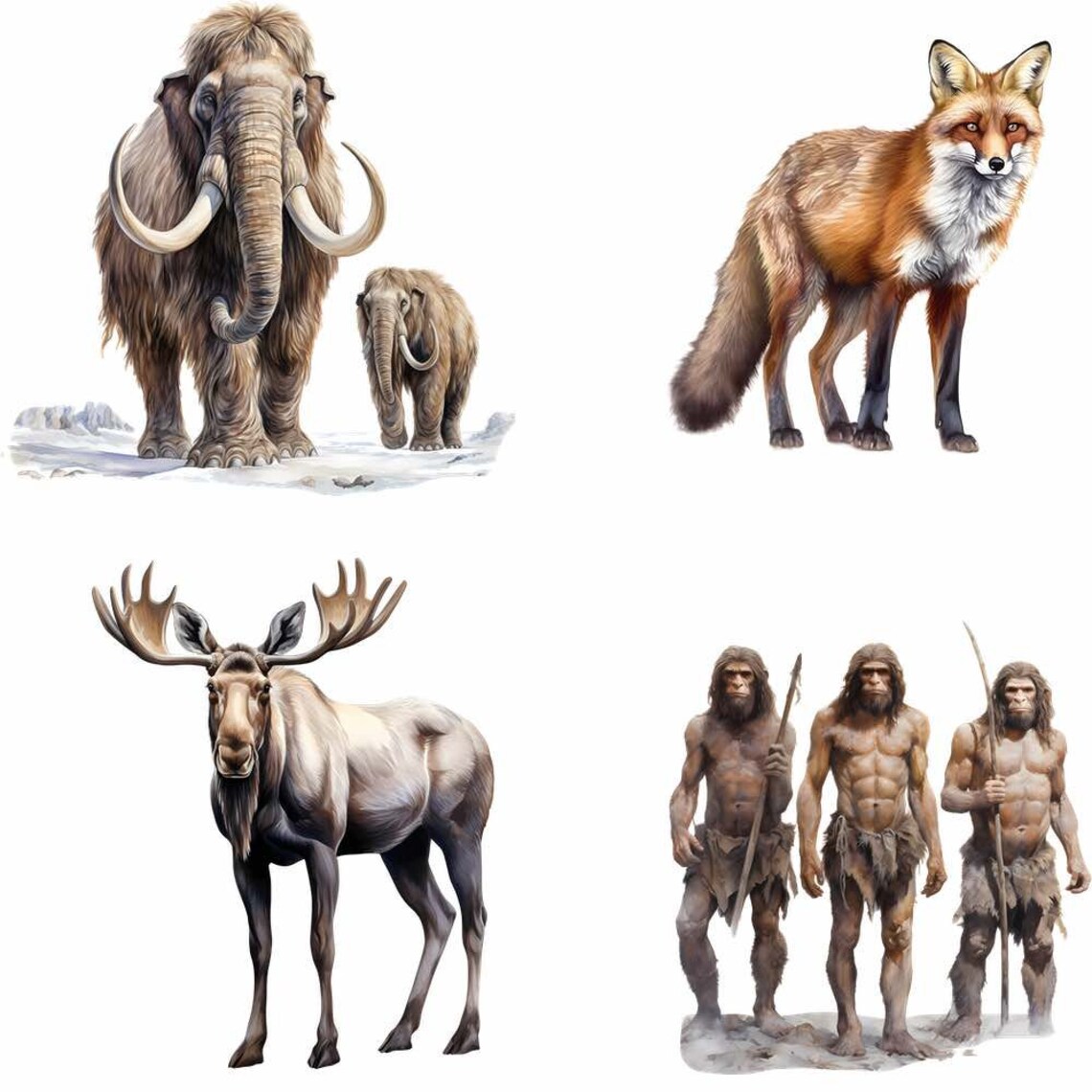 Ice Age Clipart Watercolor Digital Downloads Glacial Extinct Animal ...
