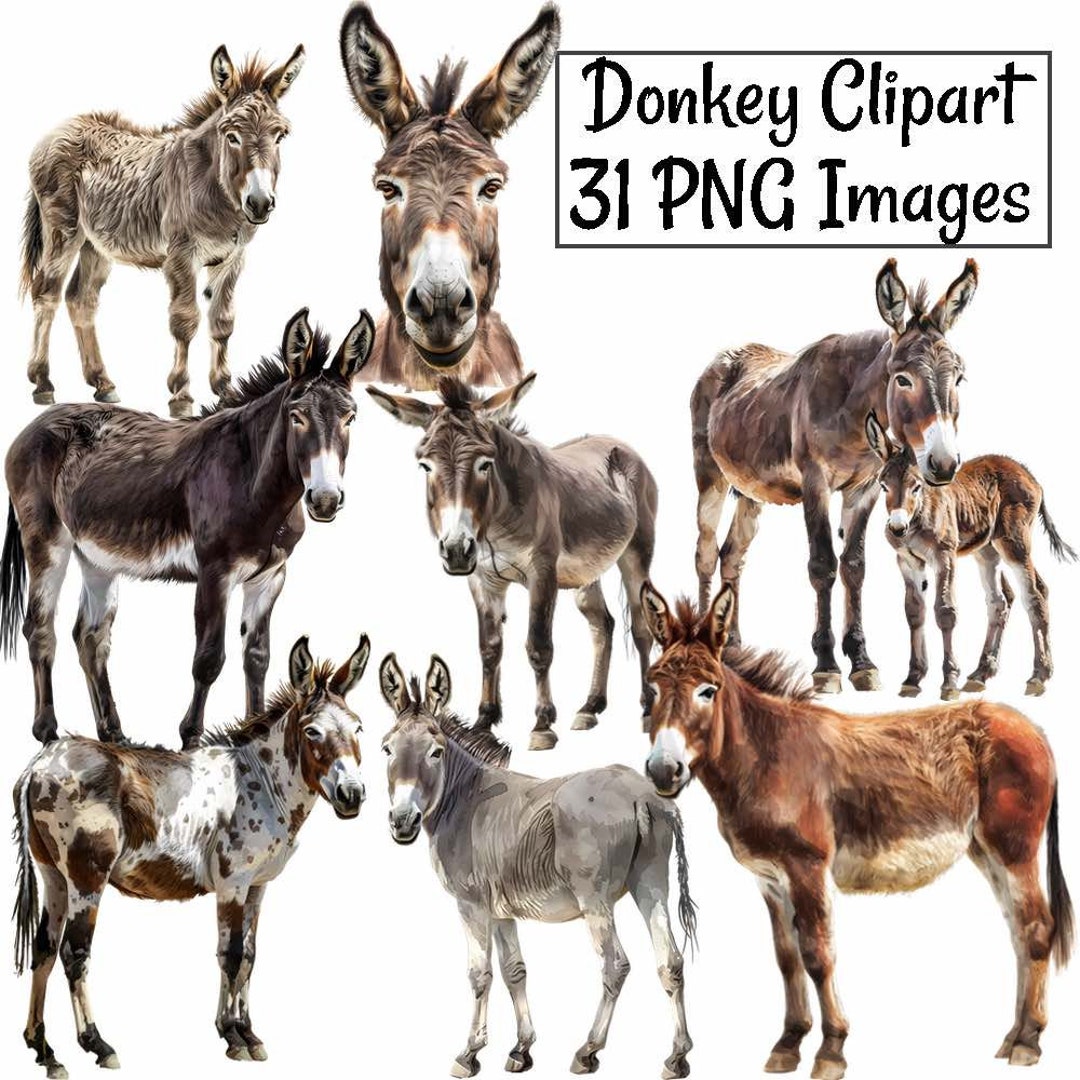Donkey Clipart Digital Downloads, 31 PNG Donkey Breeds Farm Animal ...