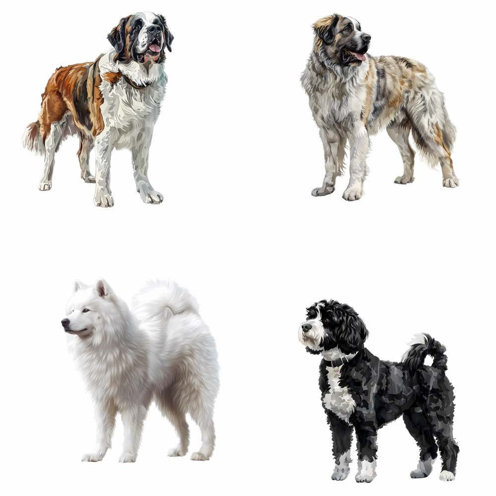 Working Dogs Watercolor Clipart Digital Downloads Dog Breed Animal AKC ...