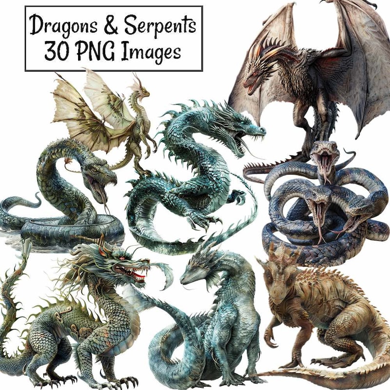 Eastern Sea Dragon - Etsy