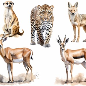 African Animals Clipart Digital Downloads, 20 Watercolor Safarijungle ...