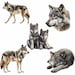 Wolf Overlay Wolves Realistic Digital Downloads, 28 Wolf Clipart , High ...