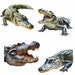 Alligator Watercolor Clipart Digital Downloads Reptile Crocodile Animal ...