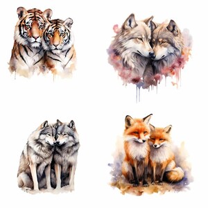 Valentine's Day Animals Watercolor Clipart, 30 PNG Images Cute Animal ...