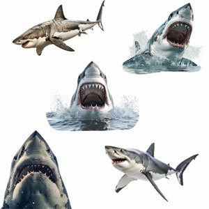 Great White Shark Overlay Realistic Digital Downloads, 37 Real Sea Life ...
