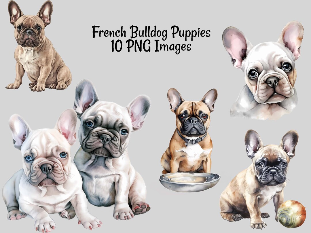 French Bulldog Puppies Digital Downloads 10 Sublimation Puppy - Etsy