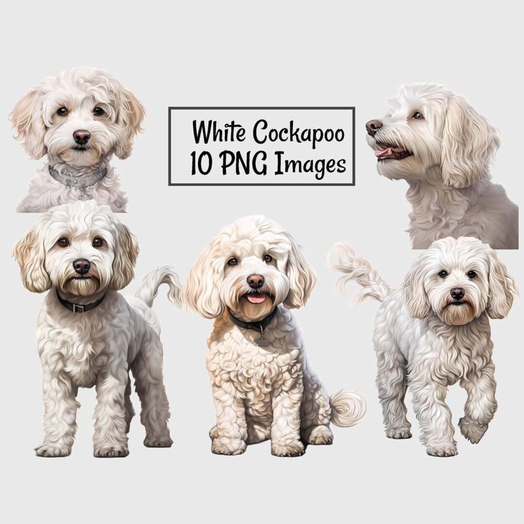 White Cockapoo Printable Digital Downloads, 10 Sublimation Dog Bundle ...