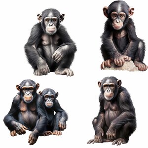Apes Watercolor Clipart Digital Downloads, 28 Simian Primate Wildlife ...