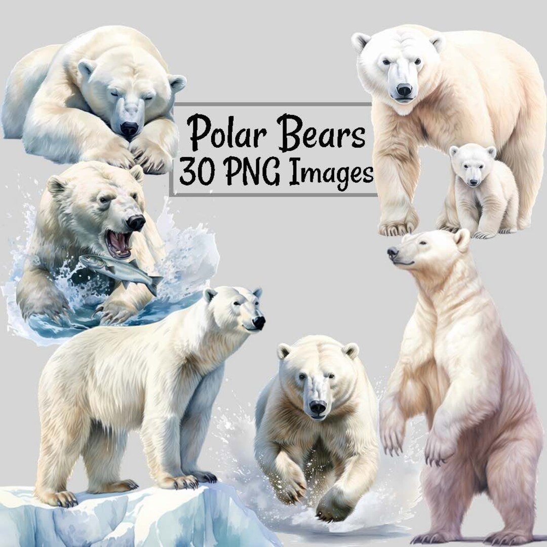 Polar Bear Watercolor Clipart Digital Downloads, 30 Alaska Arctic Snow ...