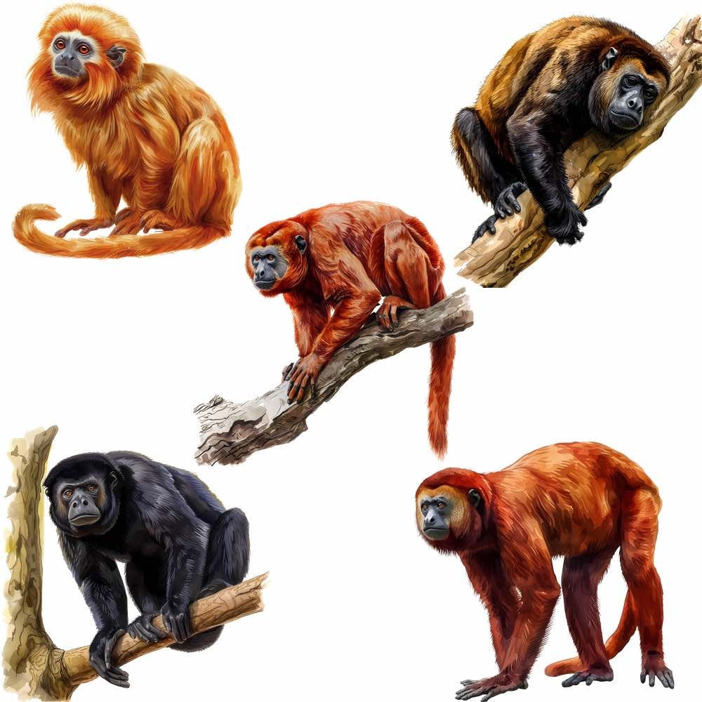 Monkey Clipart Digital Downloads New World Primates Animal Wildlife ...