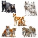 Animal Families Clipart Digital Downloads,30 Mother Father Baby ...