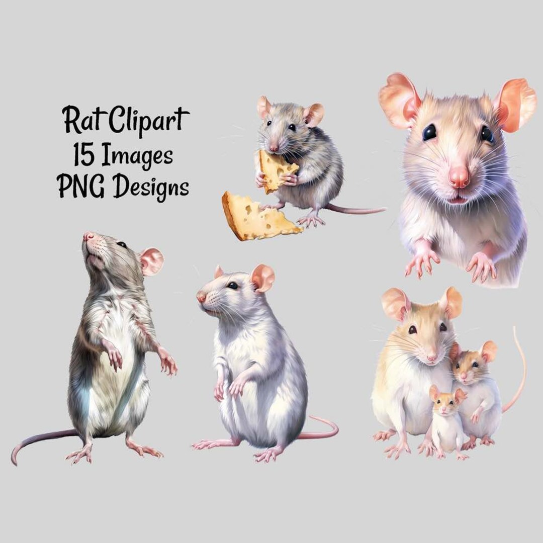Rat Watercolor Digital Downloads, 15 Rodent Mice Animal Overlay Clipart ...
