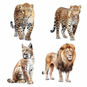 Big Cats Clipart Digital Downloads Watercolor Wild Animal Wildlife ...