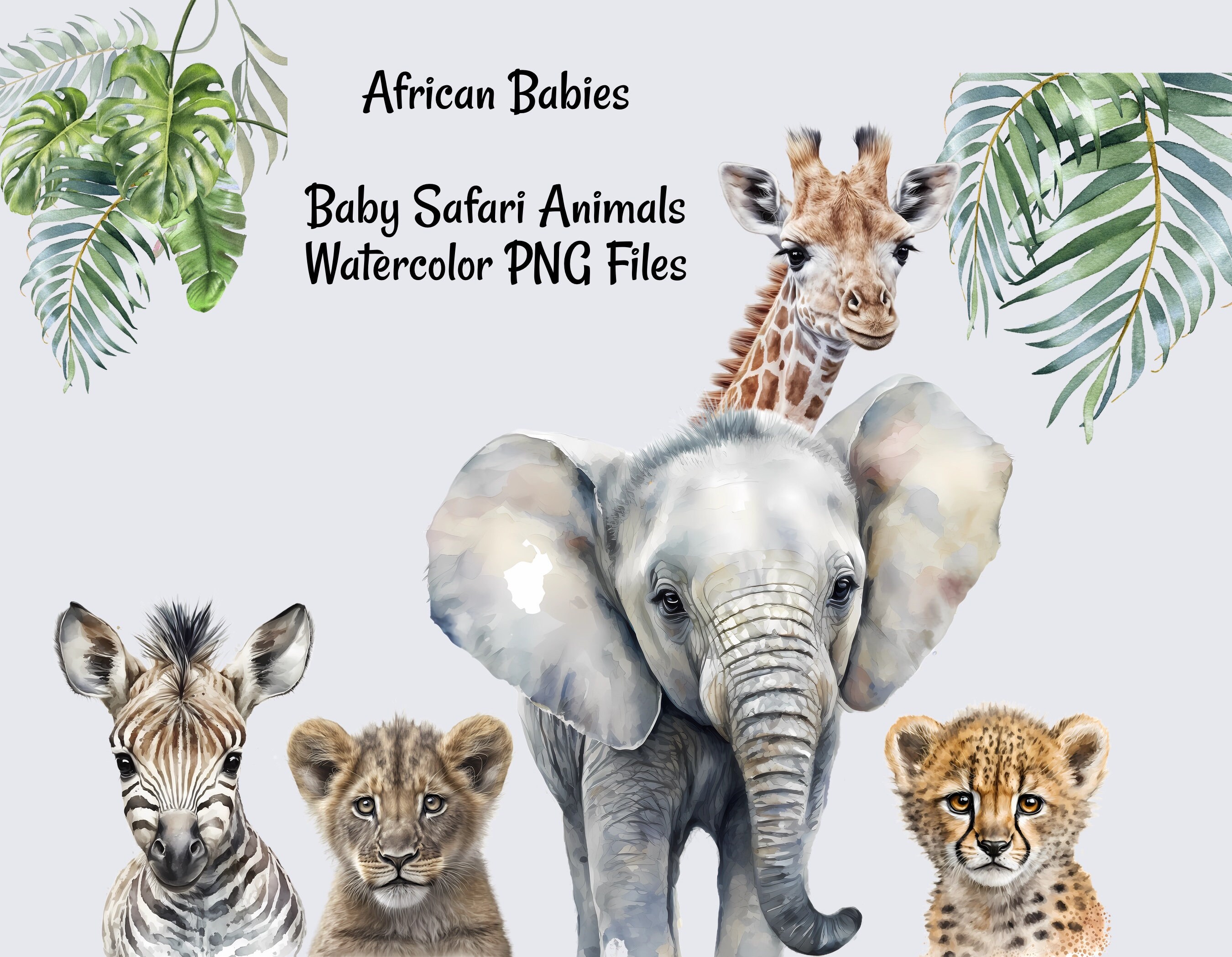 Baby Safari African Animals Clipart Digital Downloads 10 - Etsy
