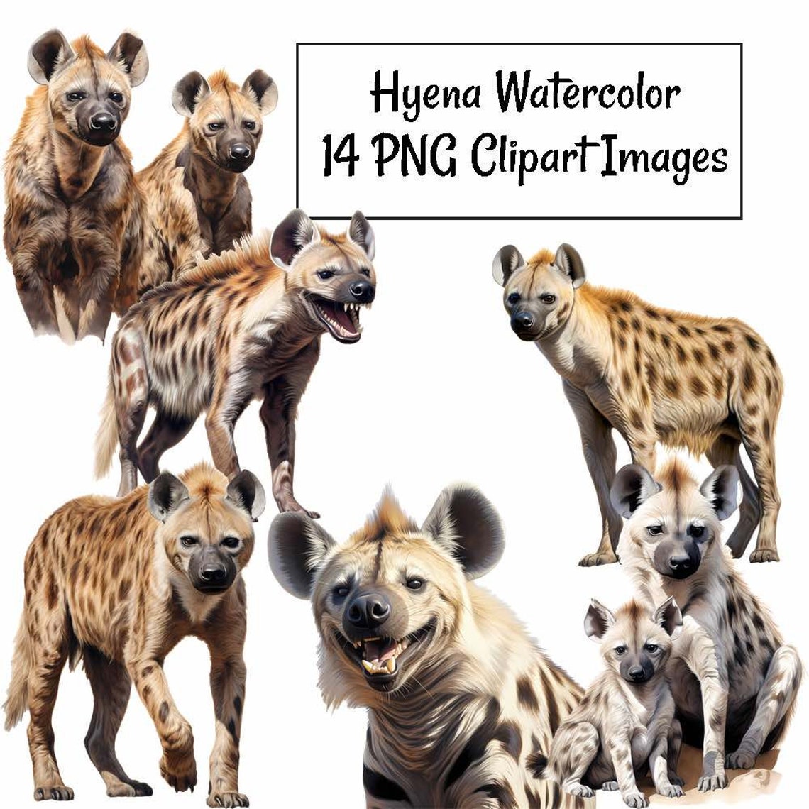 Hyena Watercolor Clipart Digital Downloads 14 African - Etsy