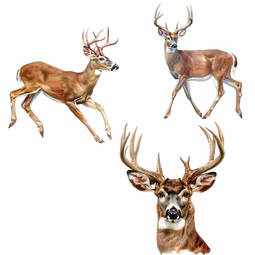 White Tailed Deer Watercolor Clipart Wildlife Digital Downloads Buck ...