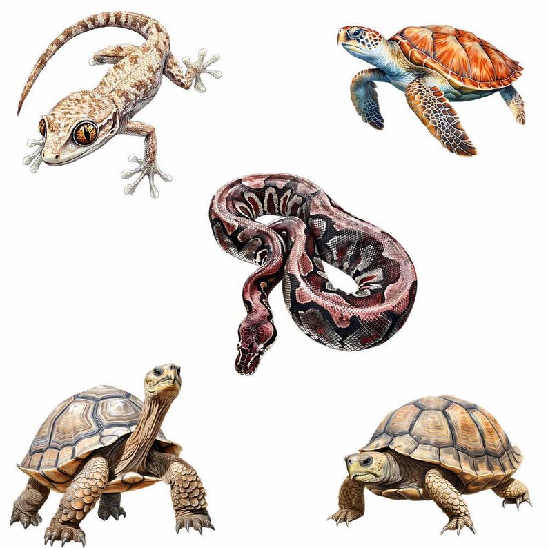 Reptile Watercolor Clipart Digital Downloads Animal Woodland Wildlife ...