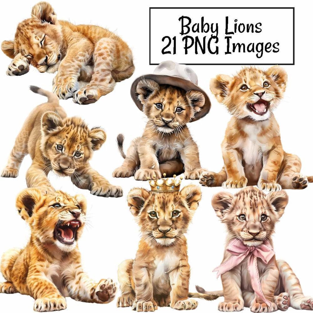 Baby Lion Clipart Digital Downloads, 21 Safari Jungle Babies Overlay ...