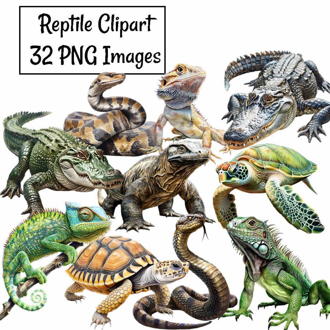 Reptile Watercolor Clipart Digital Downloads Animal Woodland Wildlife ...