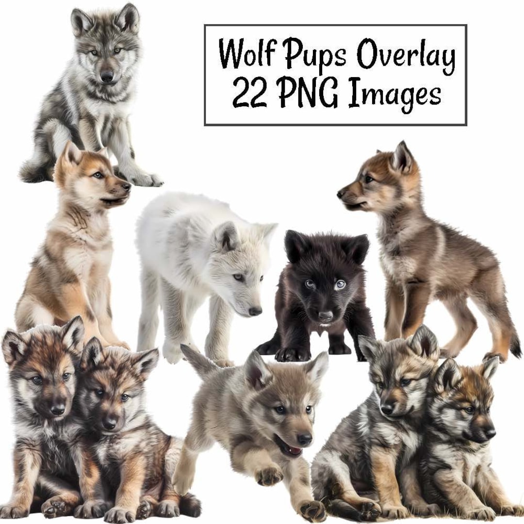 Wolf Pups Digital Downloads, 22 Overlays Wolf Clipart , Wolves High ...